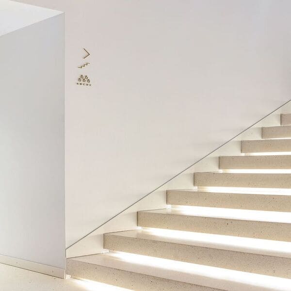 White Limestone Crema Duna